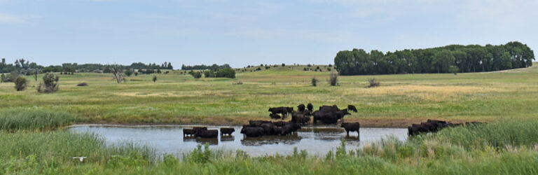 Kingman County, Kansas – Legends of Kansas